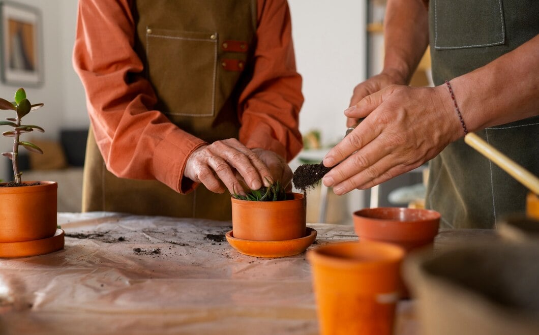 Monstera : Conseils rempotage, arrosage et entretien – Les Conseils sweeek